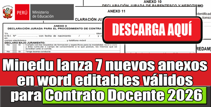 Anexos de Contratación Docente 2026: Formatos PDF/Word D.S. 022-2025 ...